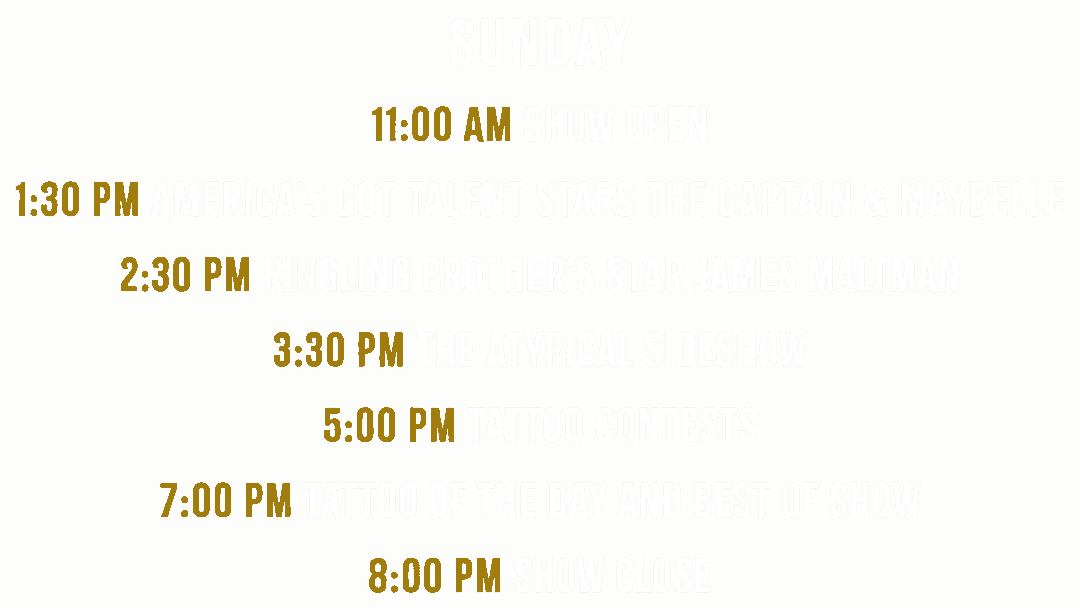 Houston, TX | July 31- Aug 02 | Villain Arts